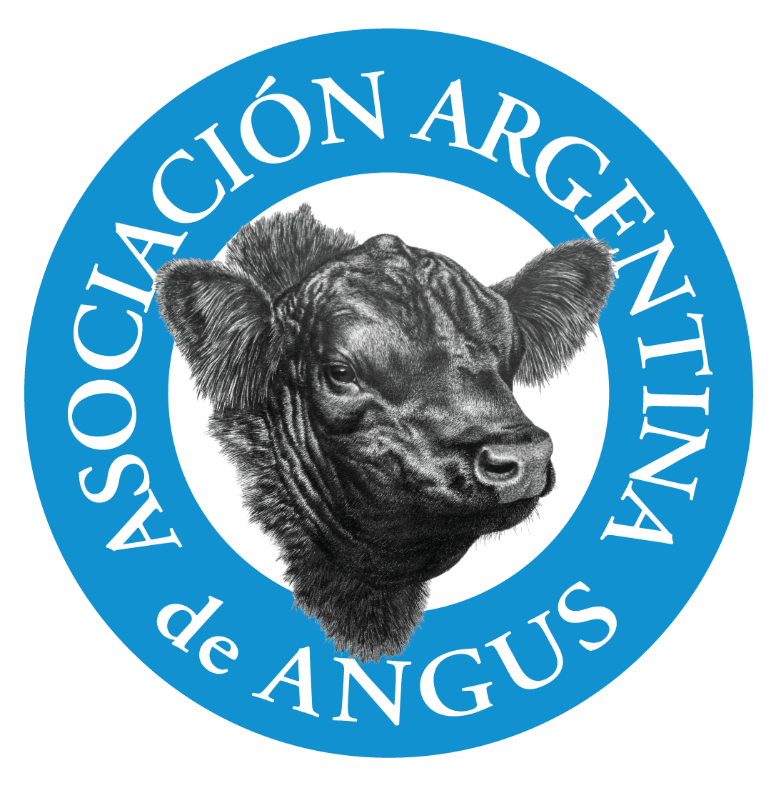 AnGus - Catálogos Virtuales
