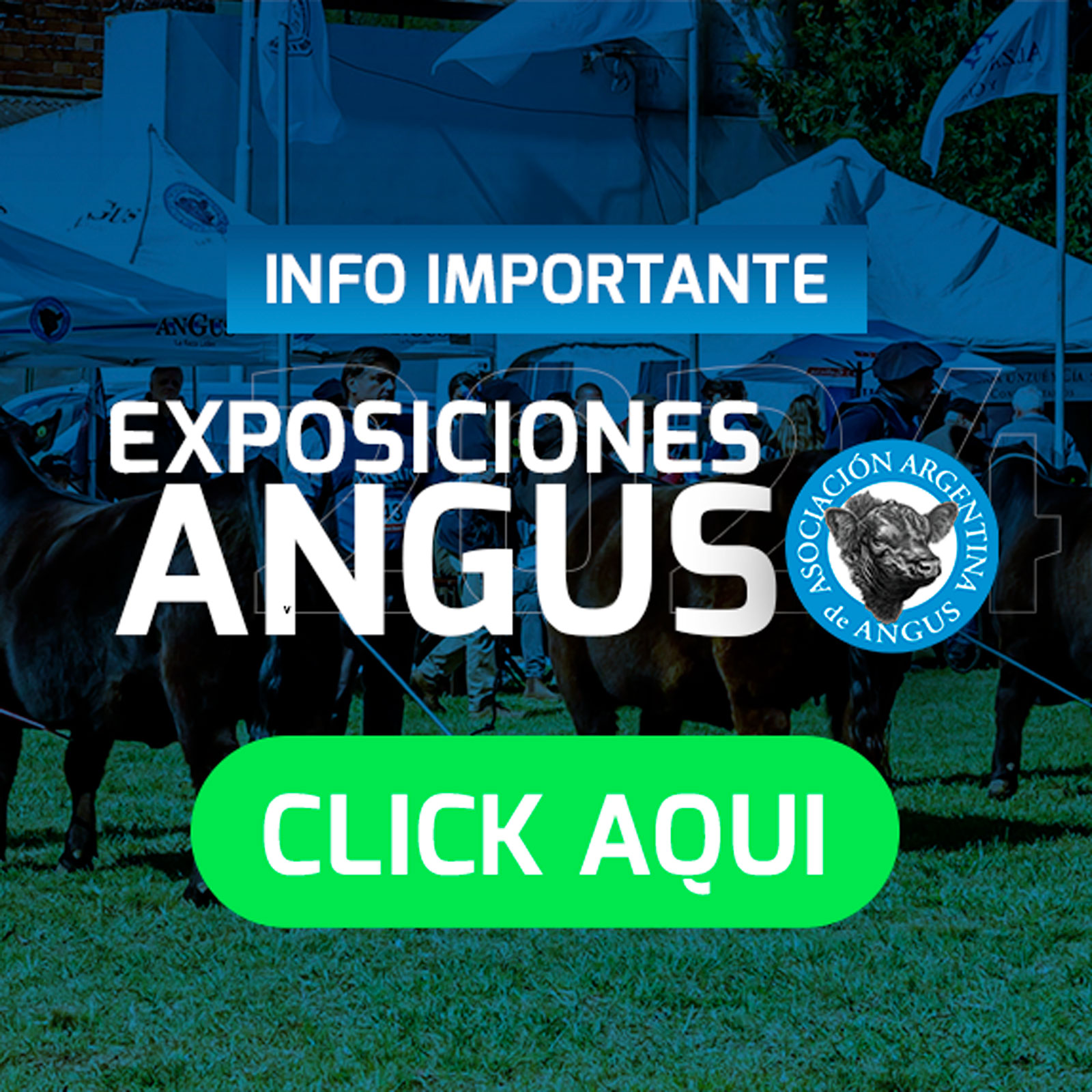 Asociación Argentina de AnGus